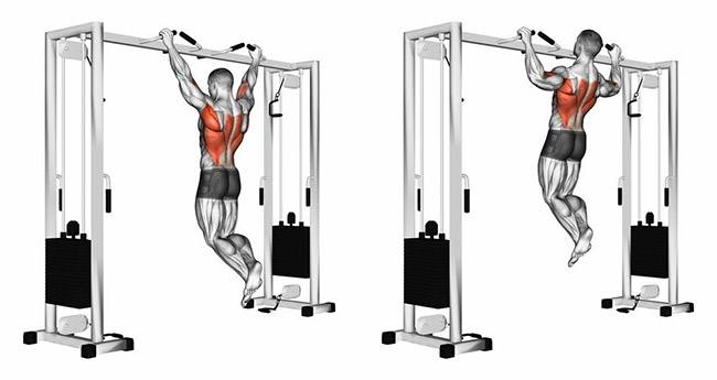 Pull Ups Vs Chin Ups – What Muscles Do They Work? - FitnessPurity